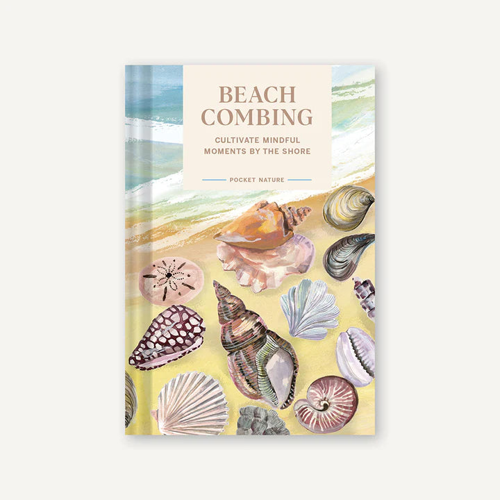 Beachcombing: Cultivate Mindful Moments by the Shore – Droplets.