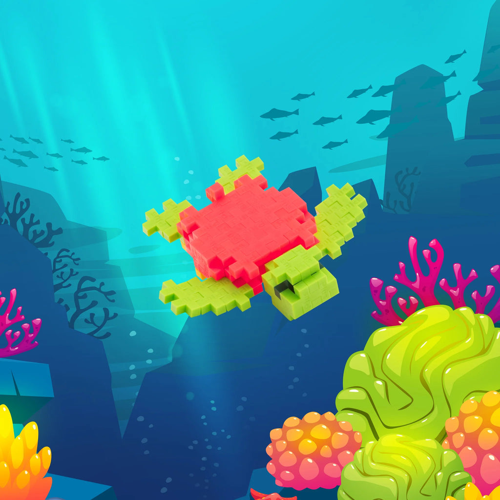 Boxed - Tangerine Turtle – Droplets.